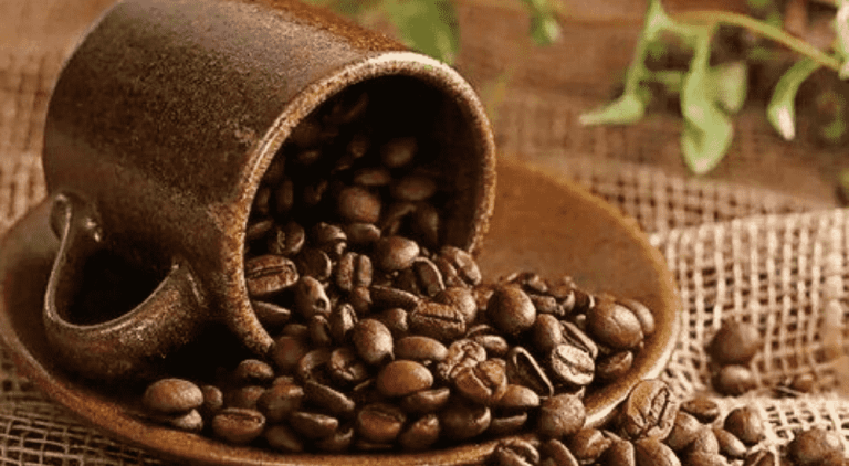 7 Melhores Cafés Em Grãos Em 2026. Atualizado Em Dezembro.